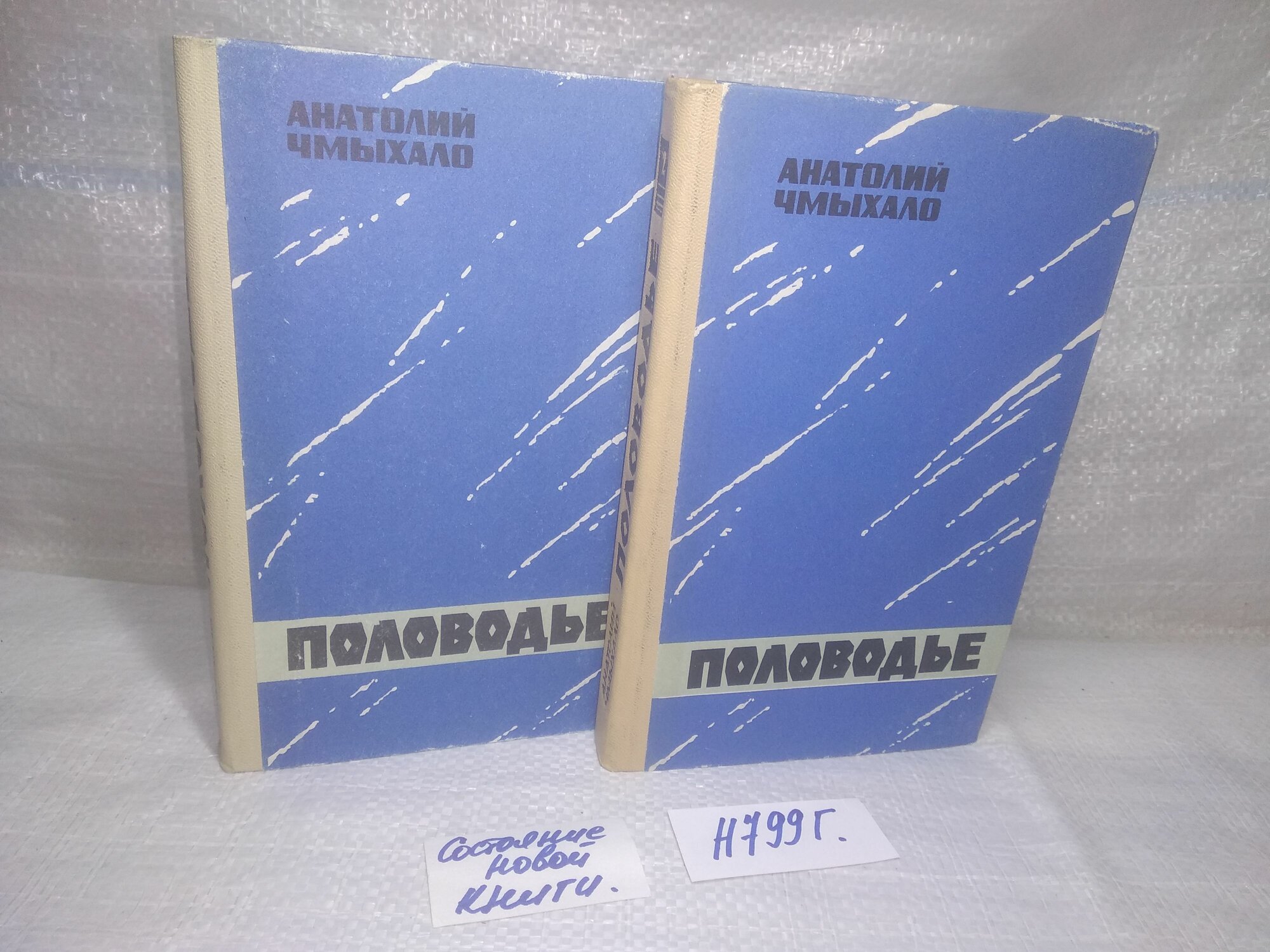 Анатолий Чмыхало. Половодье.