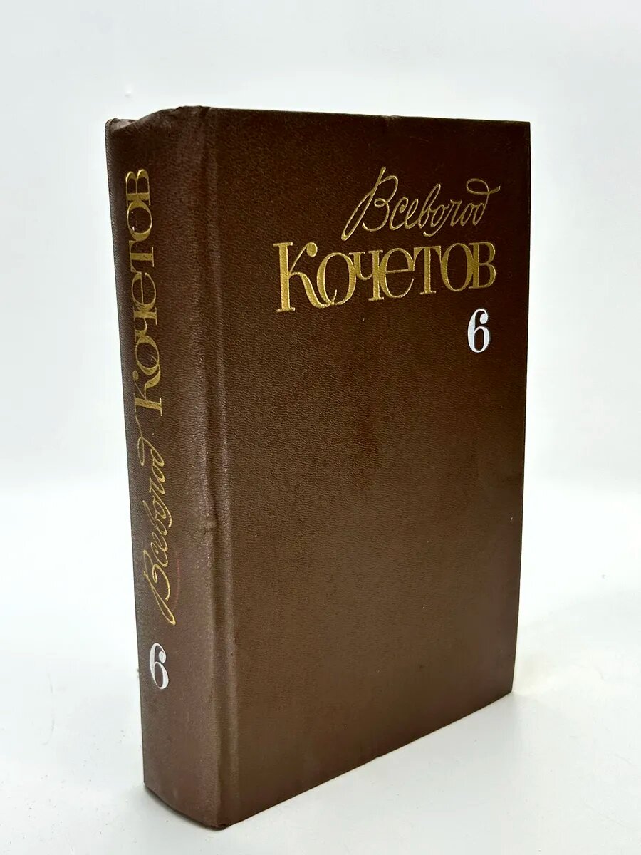 Всеволод Кочетов. Валерий Кочетов