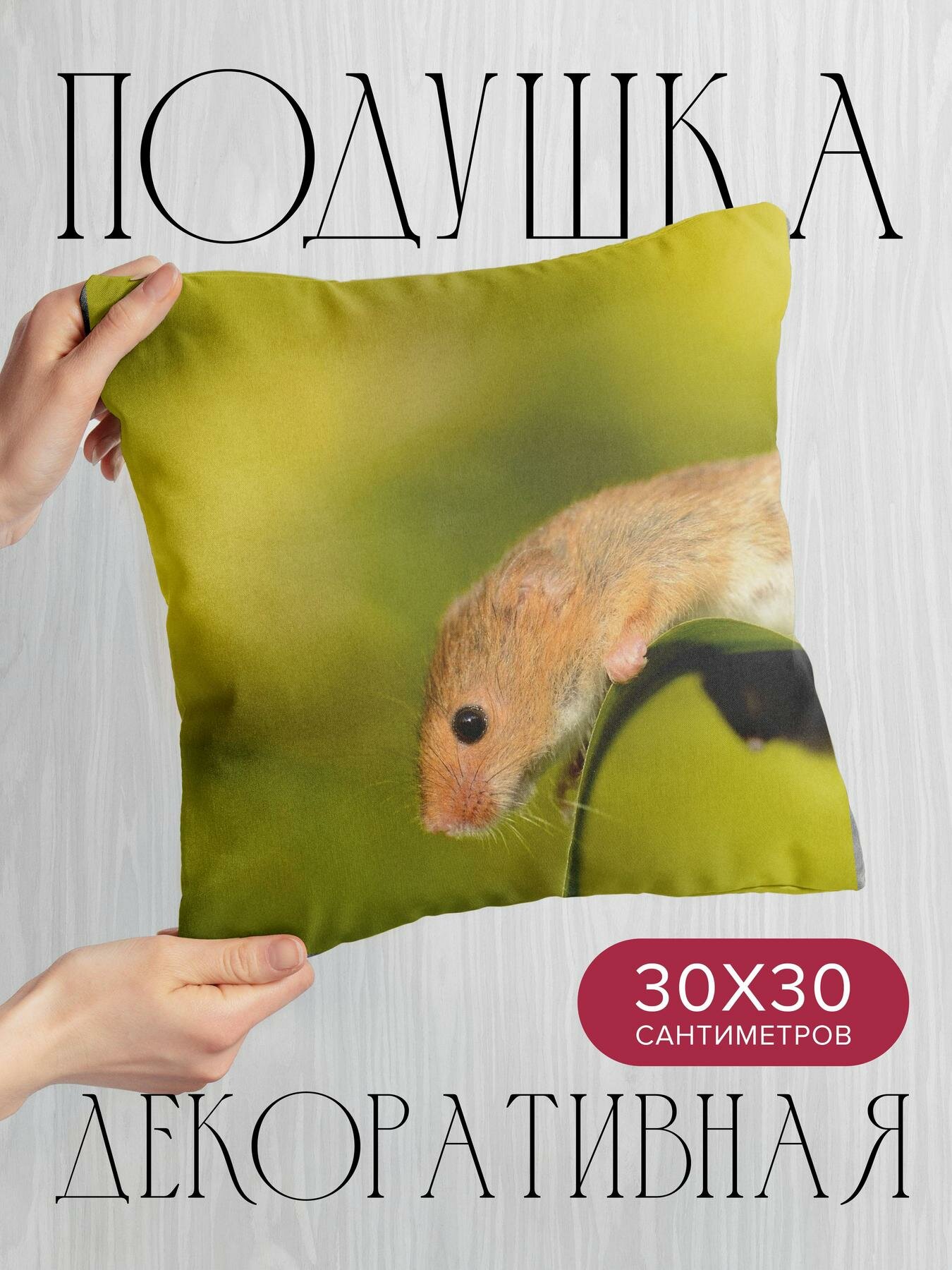 Подушка декоративная, 30x30см / Животные / мышь-малютка / мышь