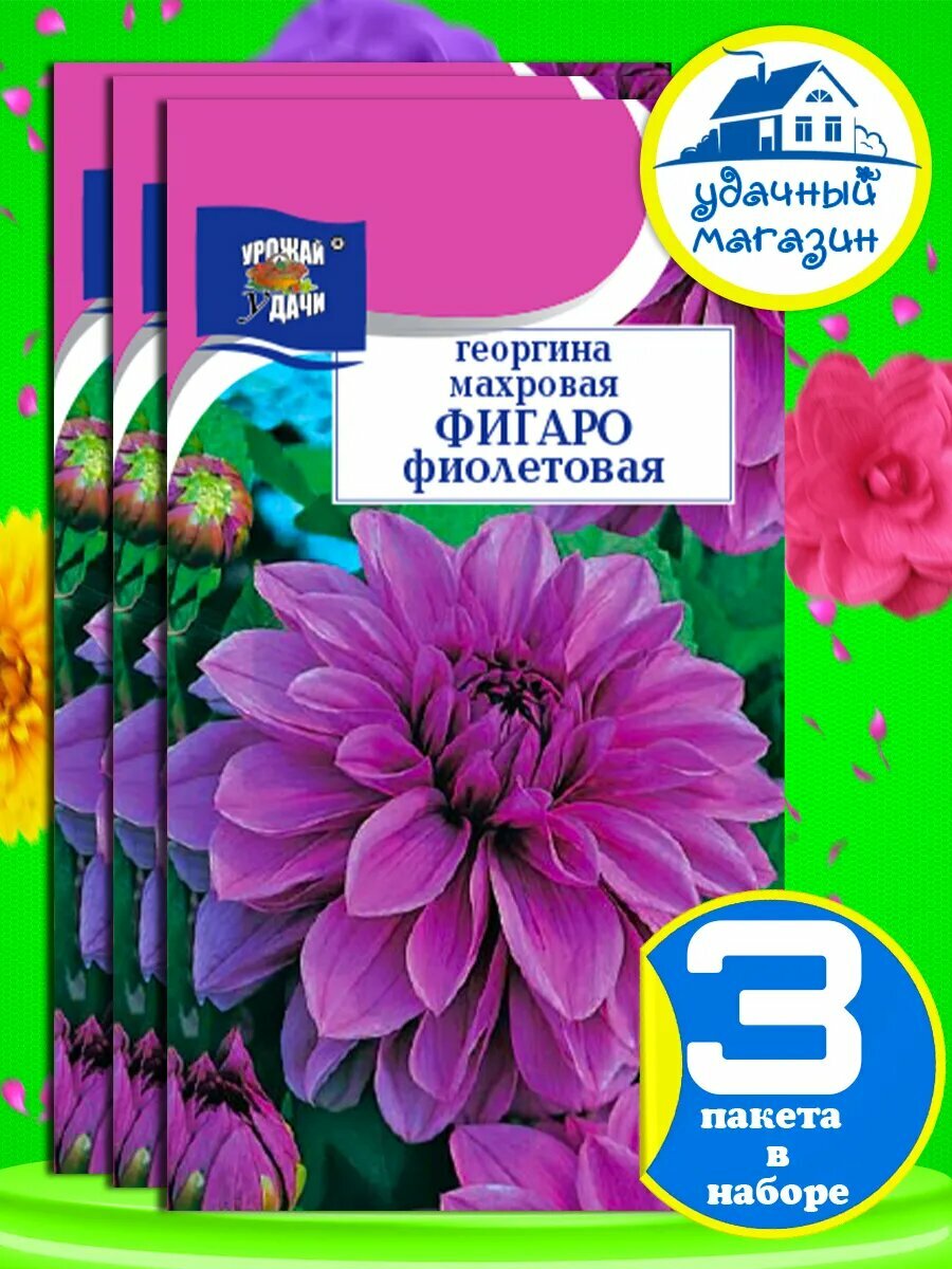 Семена георгинов низкорослые махровые