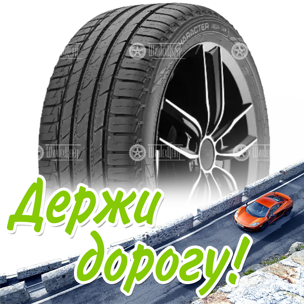 Шина 255/55R18 Ikon Tyres Character Aqua Suv 109 V Xl Летняя для легковых автомобилей и кроссоверов