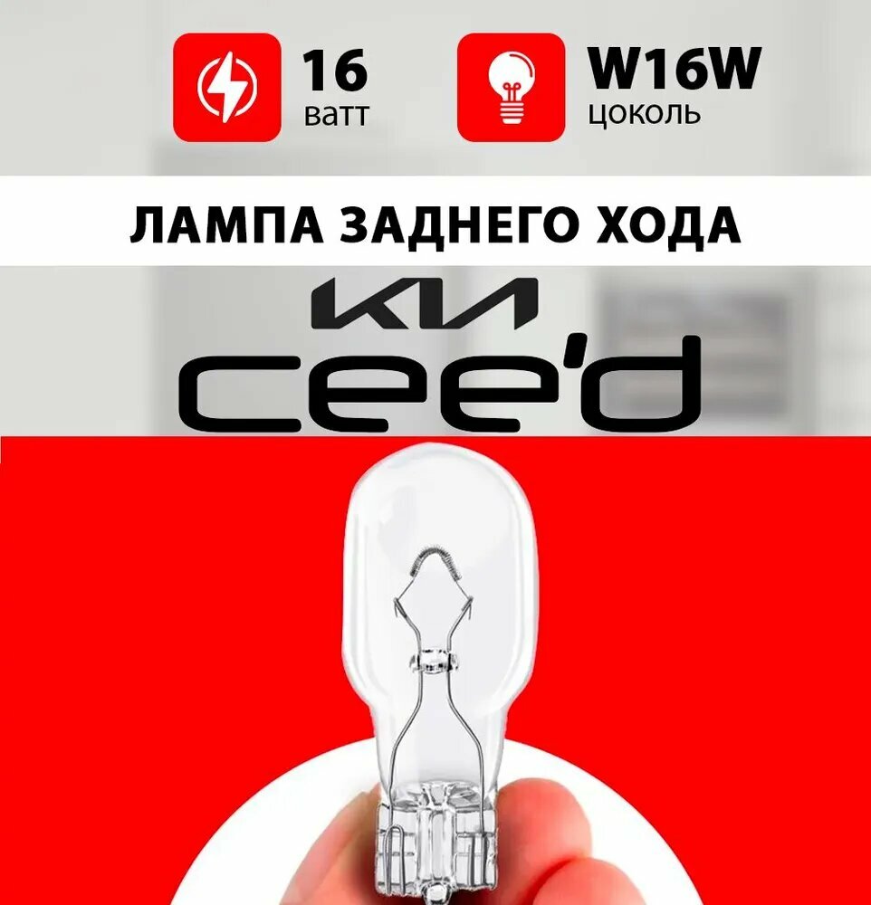 Лампа заднего хода Киа Сид / лампочка заднего хода для Kia Ceed /W16W 16 wt