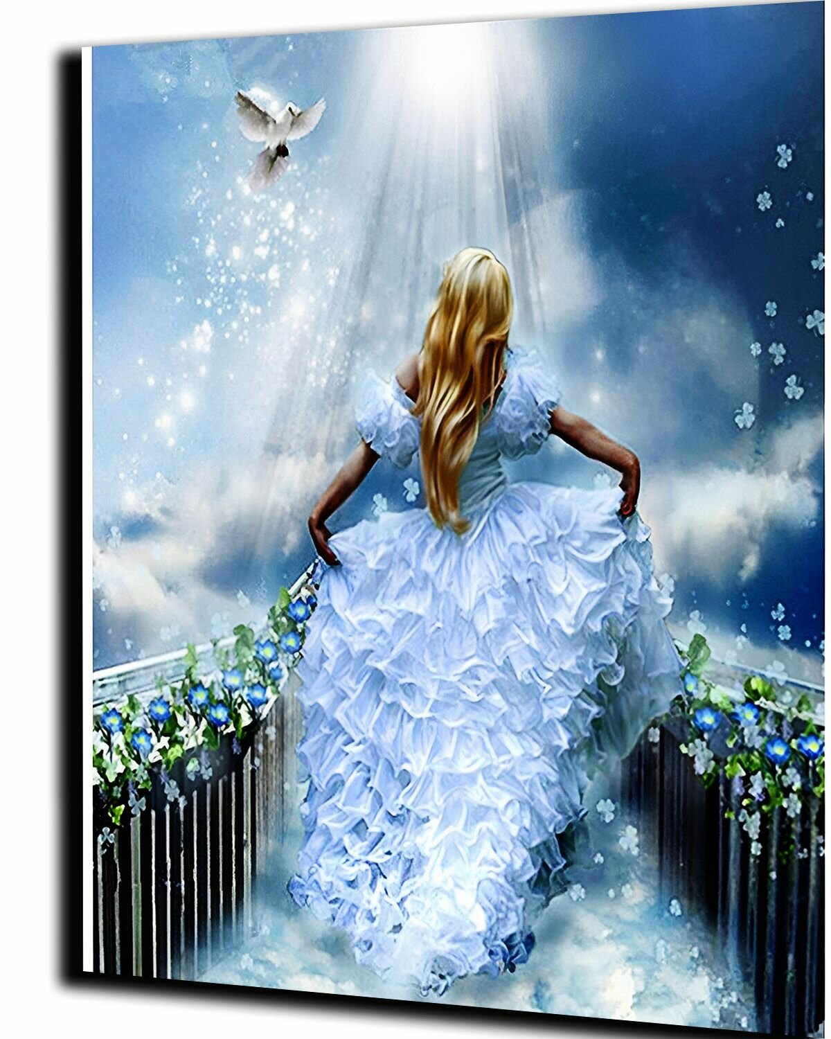 Алмазные Мозаики "красивая принцесса"40x60cm