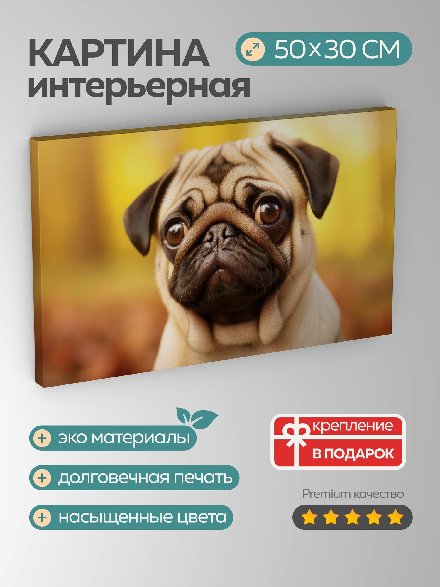 Картина на холсте интерьерная 50х30 см, мопс, морда, крупный план, мягкий фокус, задний план, мечтательная атмосфера