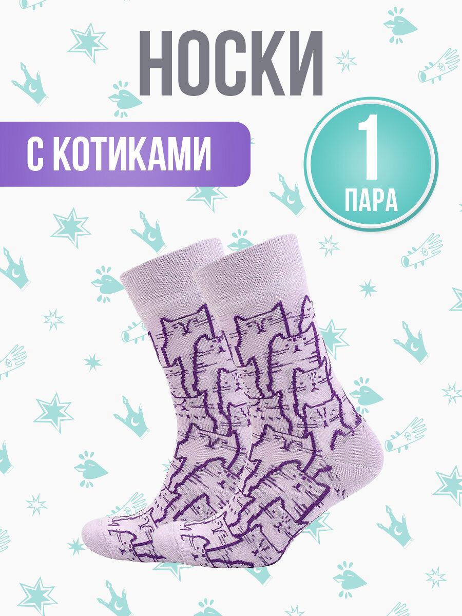 Носки с котиками
