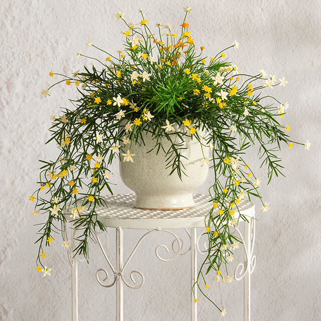 Подвесной искусственный цветок Мидлтон Стоун 43 см, желтый, Summer Deco, 5010080