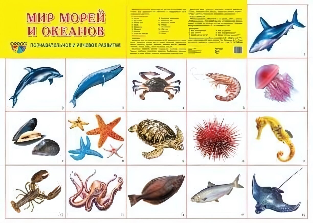 Плакат демонстрационный А2 «Мир морей и океанов», 12 карточек, цветные иллюстрации, бумага
