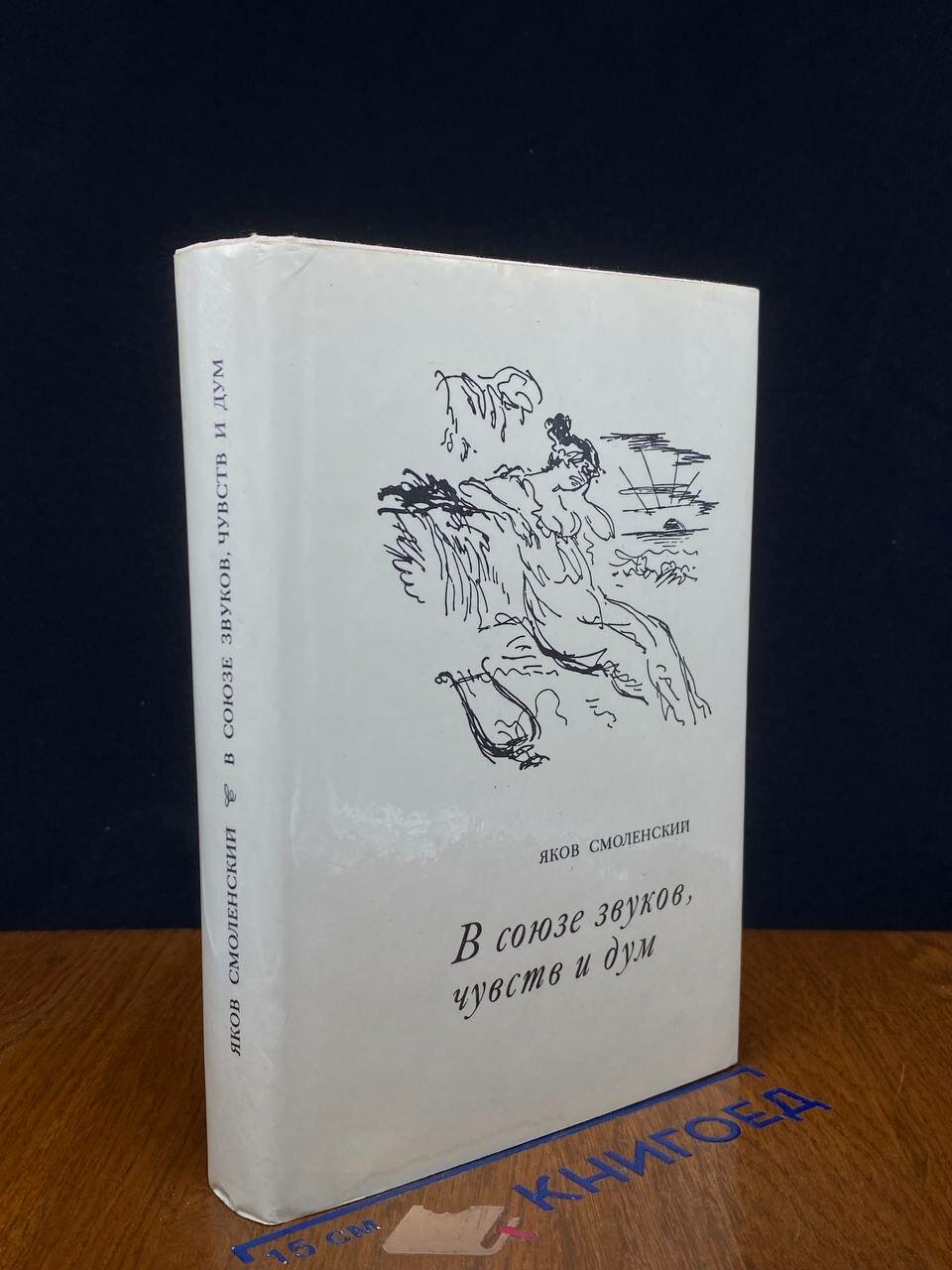 Книга. В союзе звуков, чувств и дум 1976 (2043404405130)