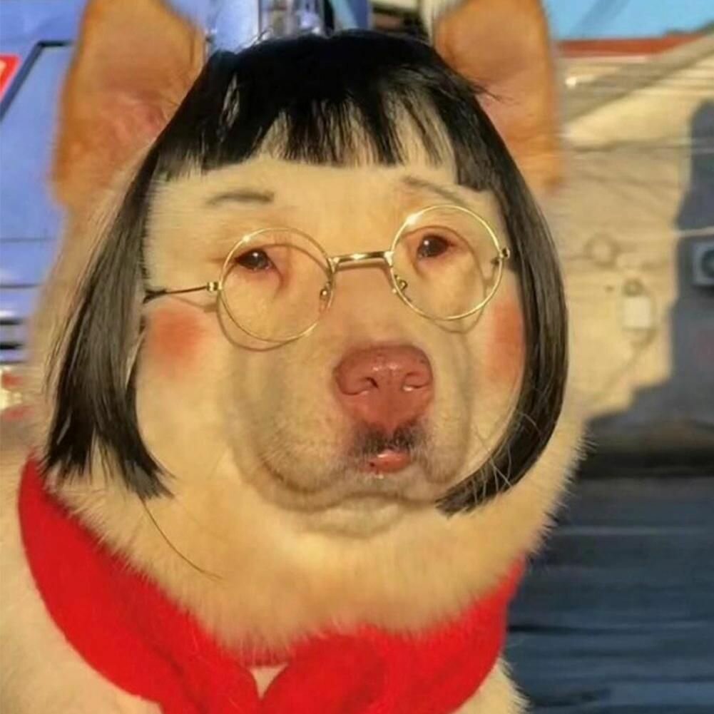 Парик Pet Fashion Bangs, Головной убор для питомца