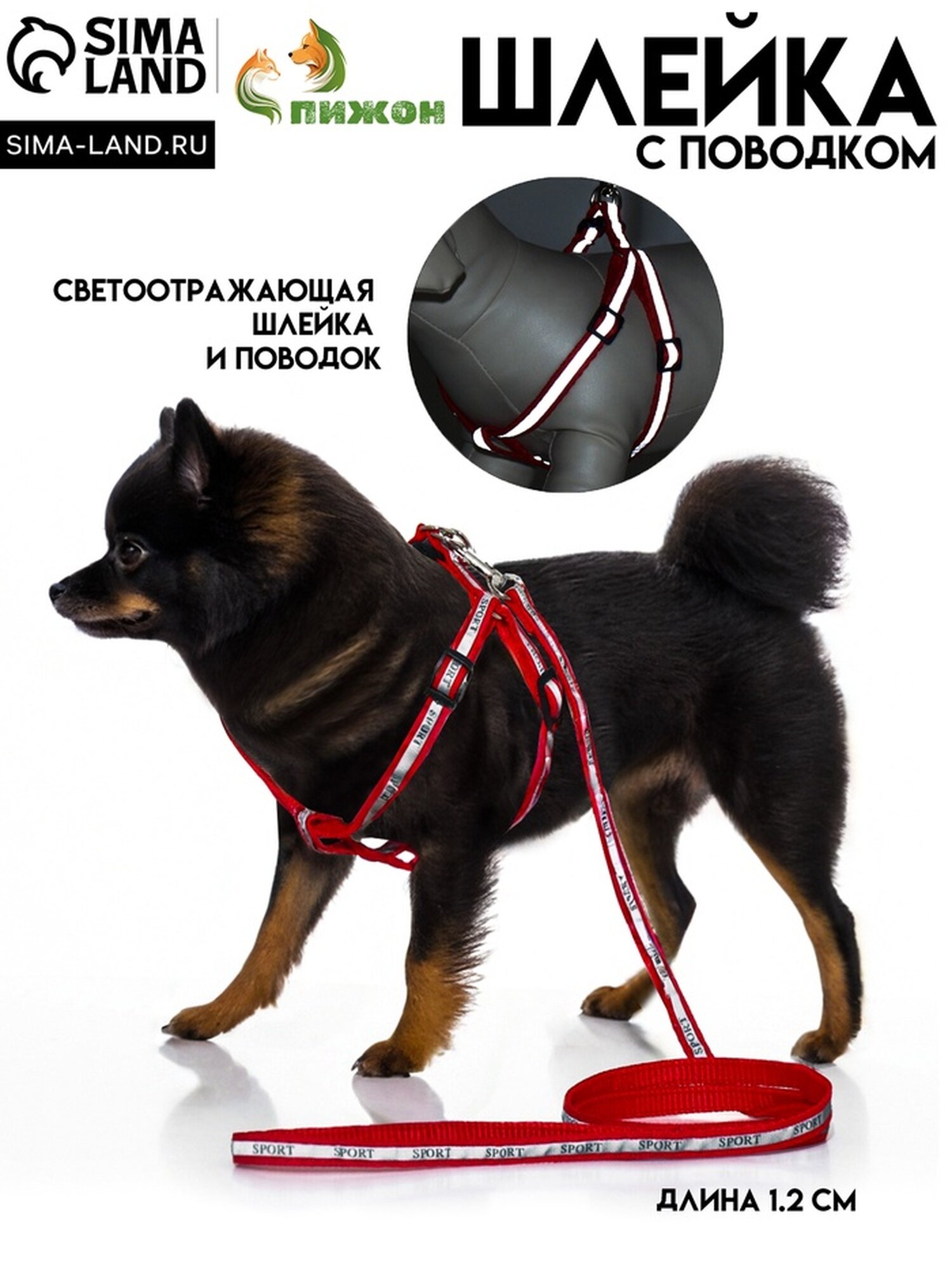 Комплект "Спорт" светоотражающий, поводок 120 х 1 см, ОГ 23-35 см, красный