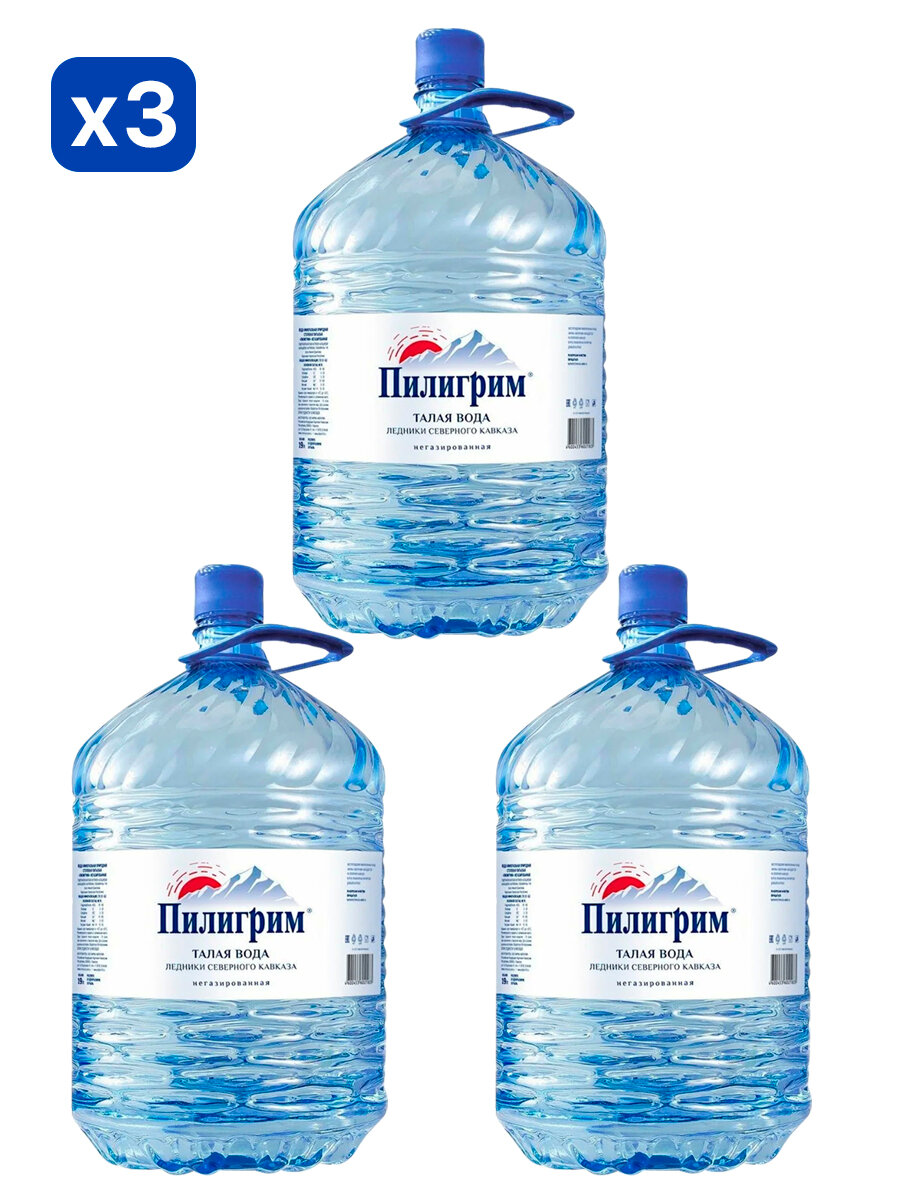 Минеральная питьевая столовая вода "Пилигрим" 19.0 литров (одноразовые бутыли) 3 шт