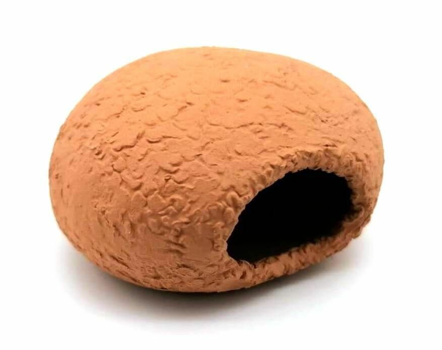 Укрытие для рыб, раков, креветок, 4 х 5 х 2 см