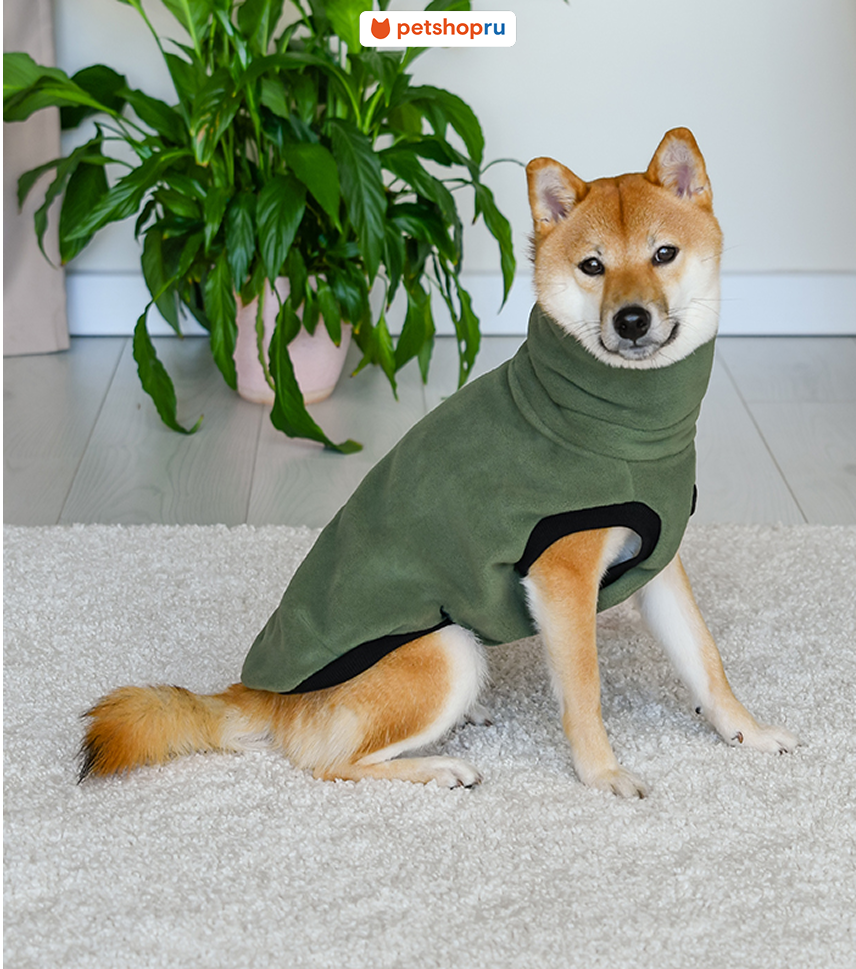 Lelap одежда Жилетка флисовая "Moss" на Басенджи, зеленый размер L