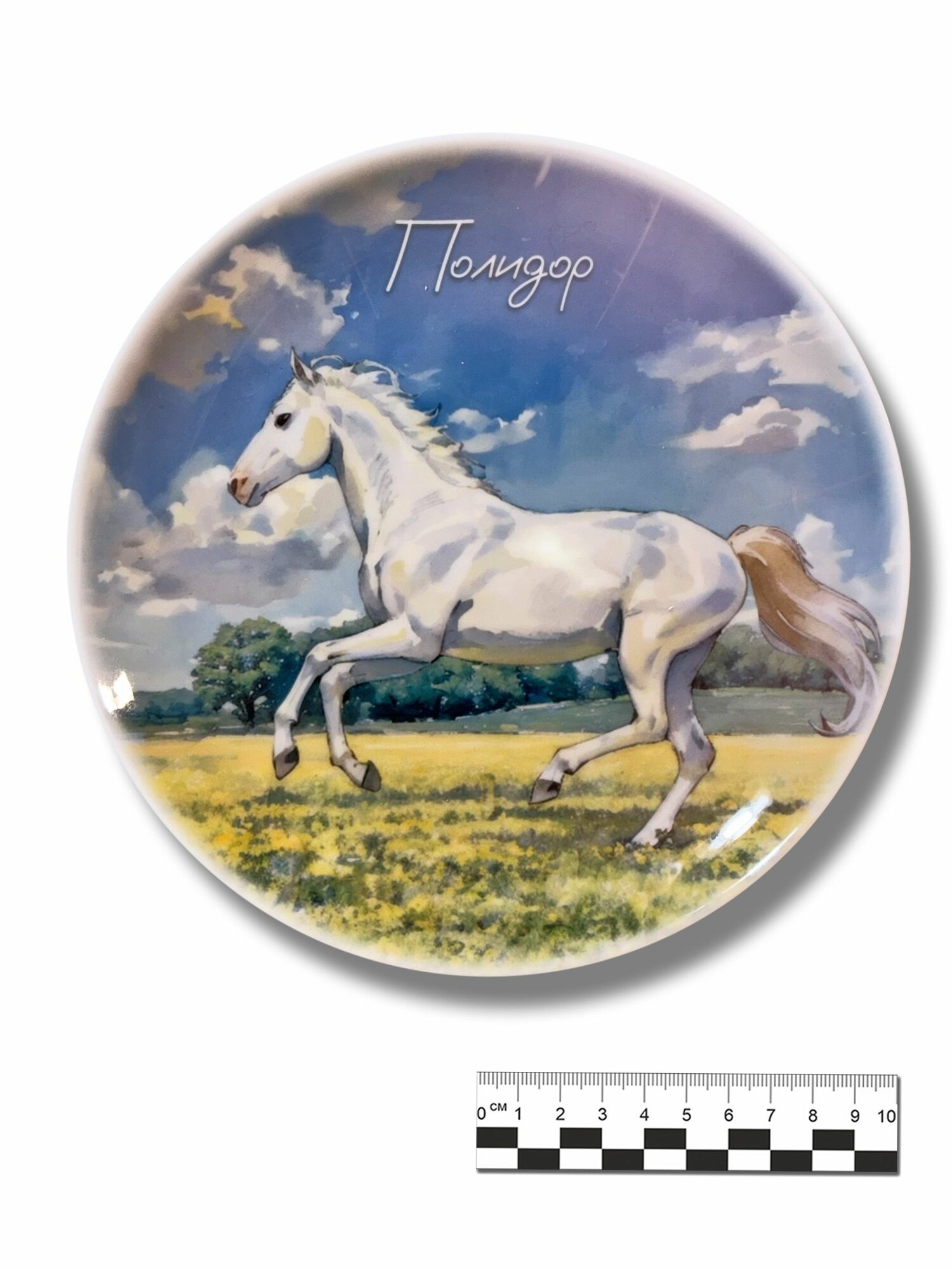 Декоративная тарелка с изображением коня по кличке Полидор исп.1т