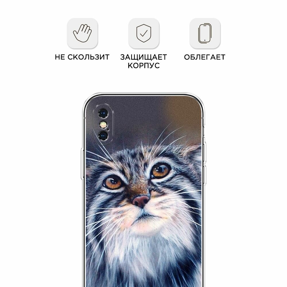 Чехол на Apple iPhone XS Max / Айфон XS Max с принтом "Кот манул 2" — фото 1