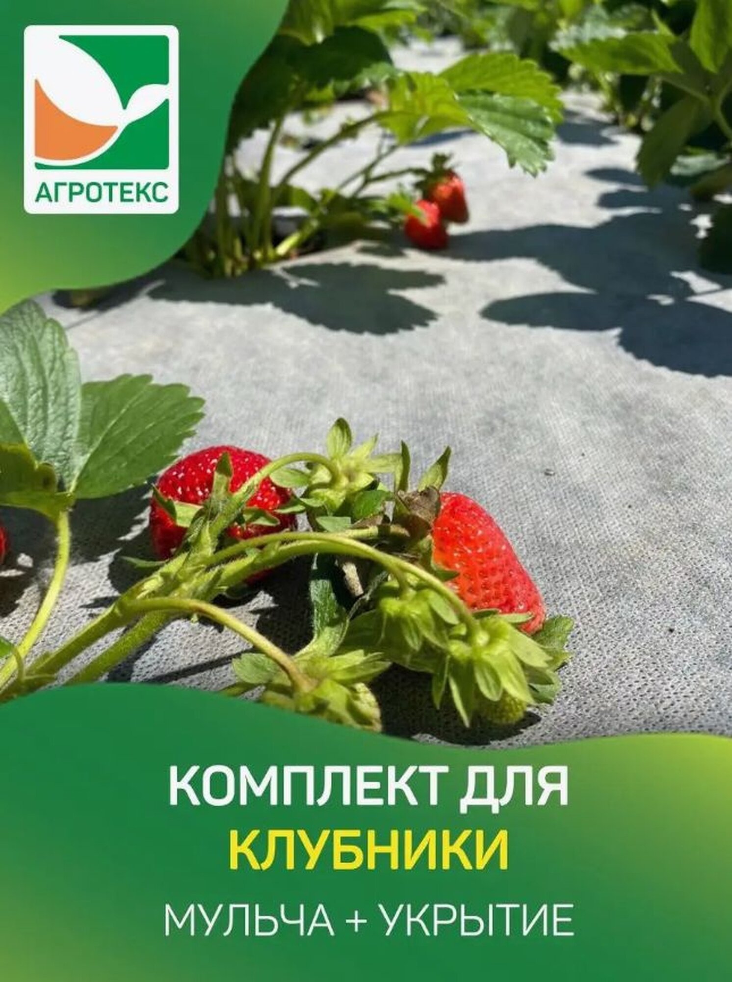 Комплект для клубники и садовой земляники