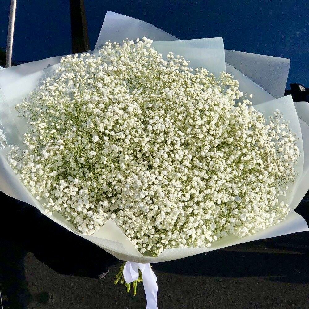 Букет из белой гипсофилы 25 шт, красивый букет цветов, шикарный, премиум цветы, премиум букет
