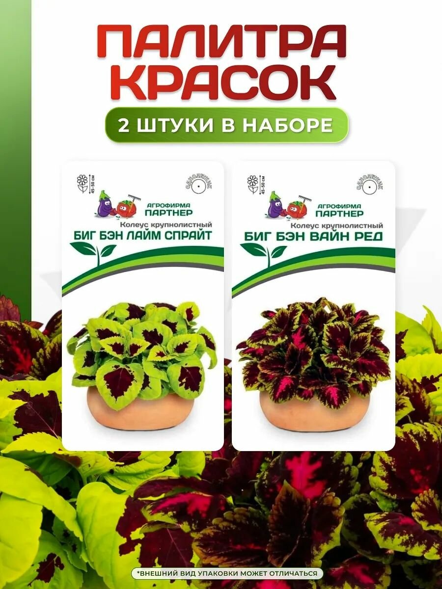 Семена набор от Агрофирма Партнер колеус: Палитра красок - Биг Бэн Вайн Ред, Биг Бэн Лайм Спрайт