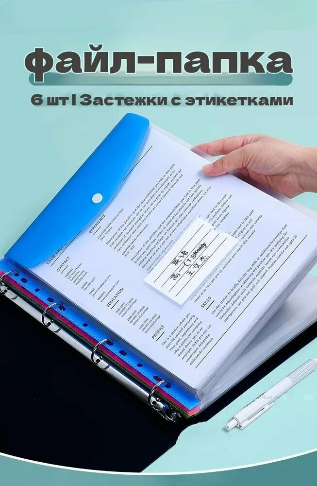 Папка-скоросшиватель A4 (21 × 29.7 см), 6 шт.