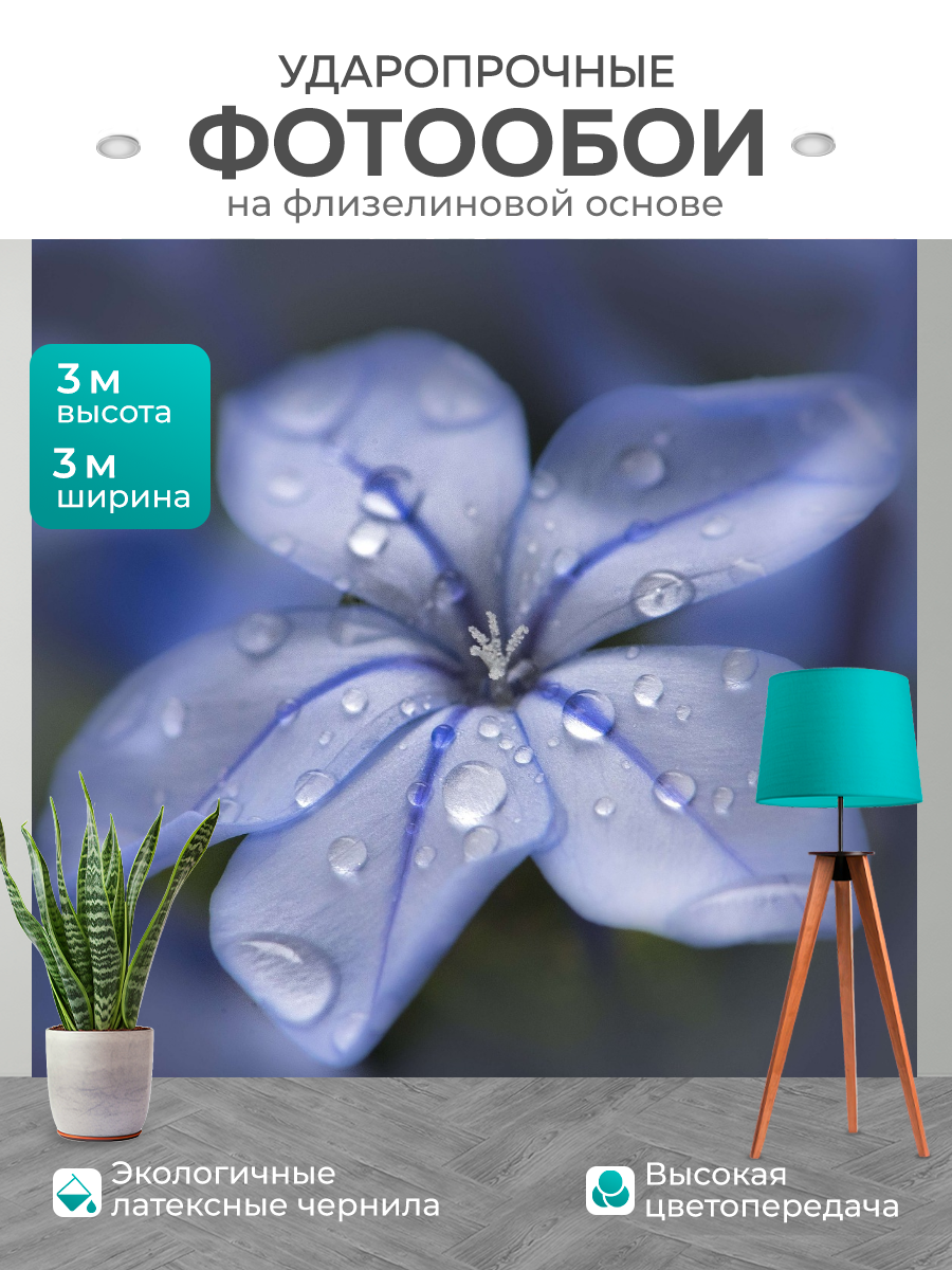 Фотообои моющиеся ударопрочные "Графит, синий, капли дождя" 300x300 см. флизелиновые на стену