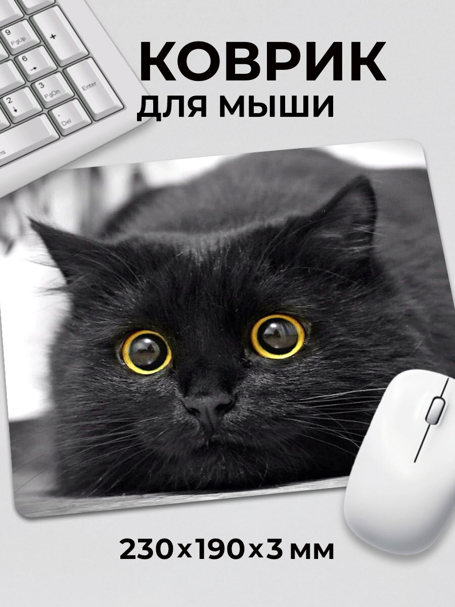 Коврик для мышки игровой маленький на стол Черный кот котик