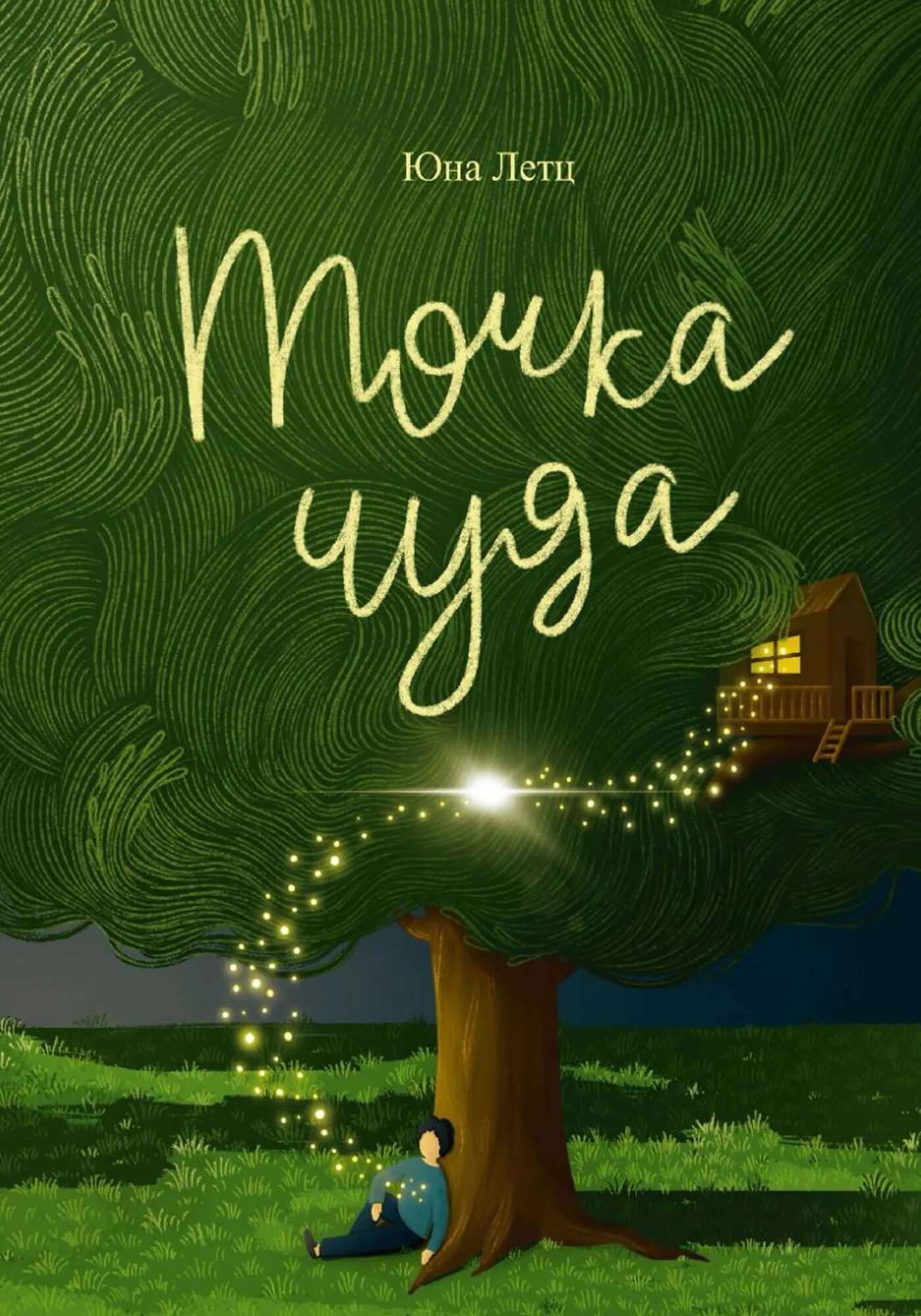 Точка чуда [Цифровая книга]