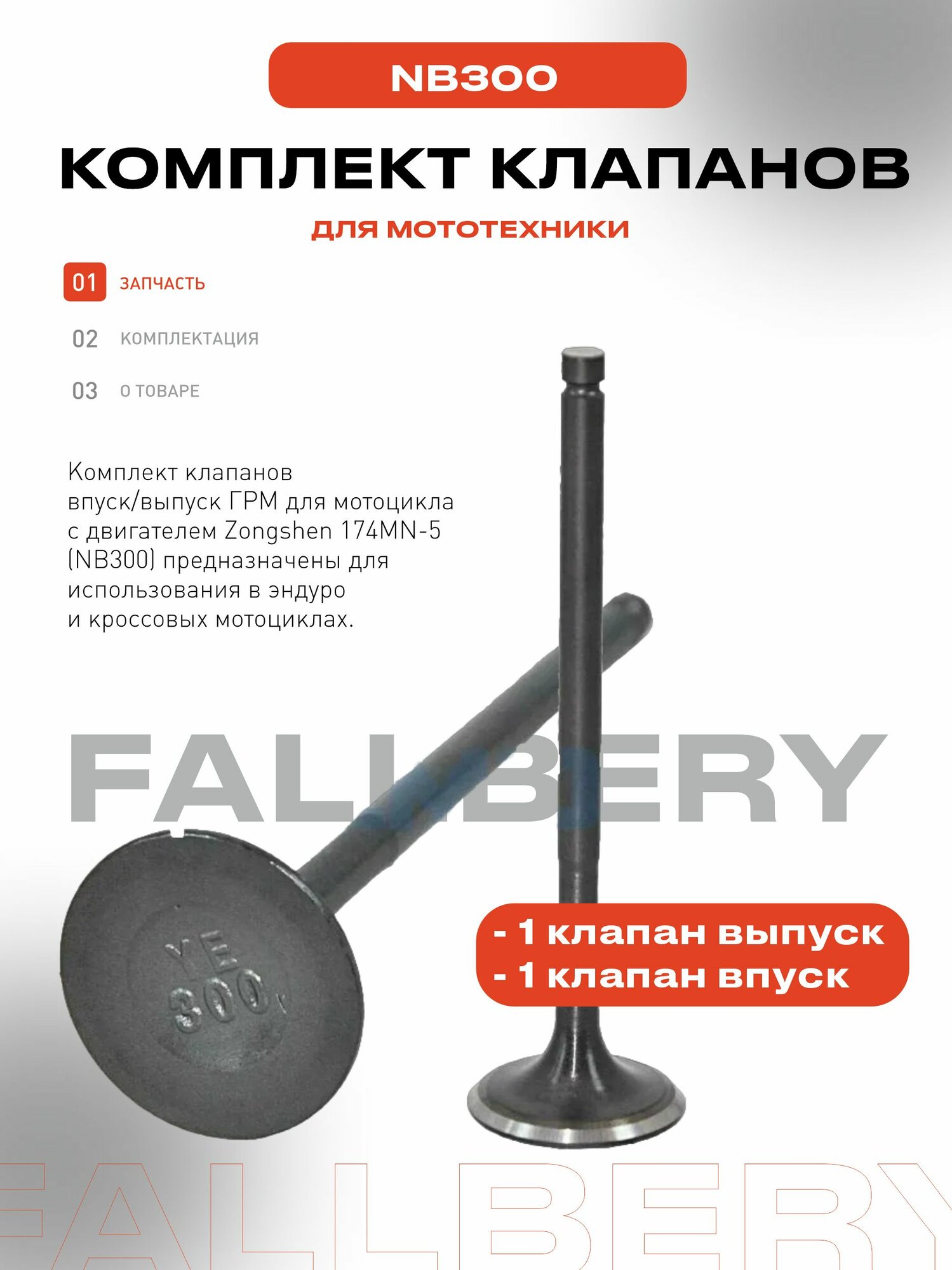 Комплект впускного и выпускного клапана NB300