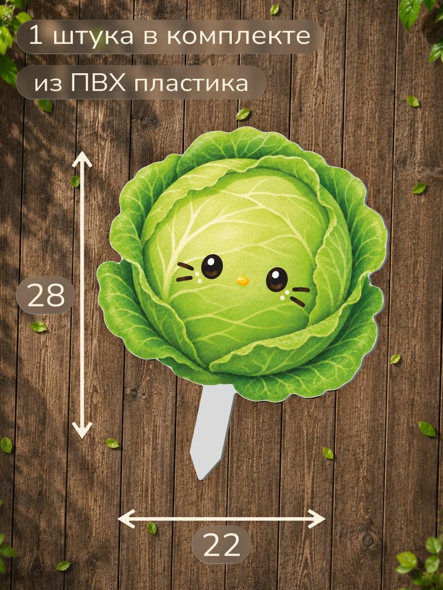 Фигурки для сада Капуста — фото 1