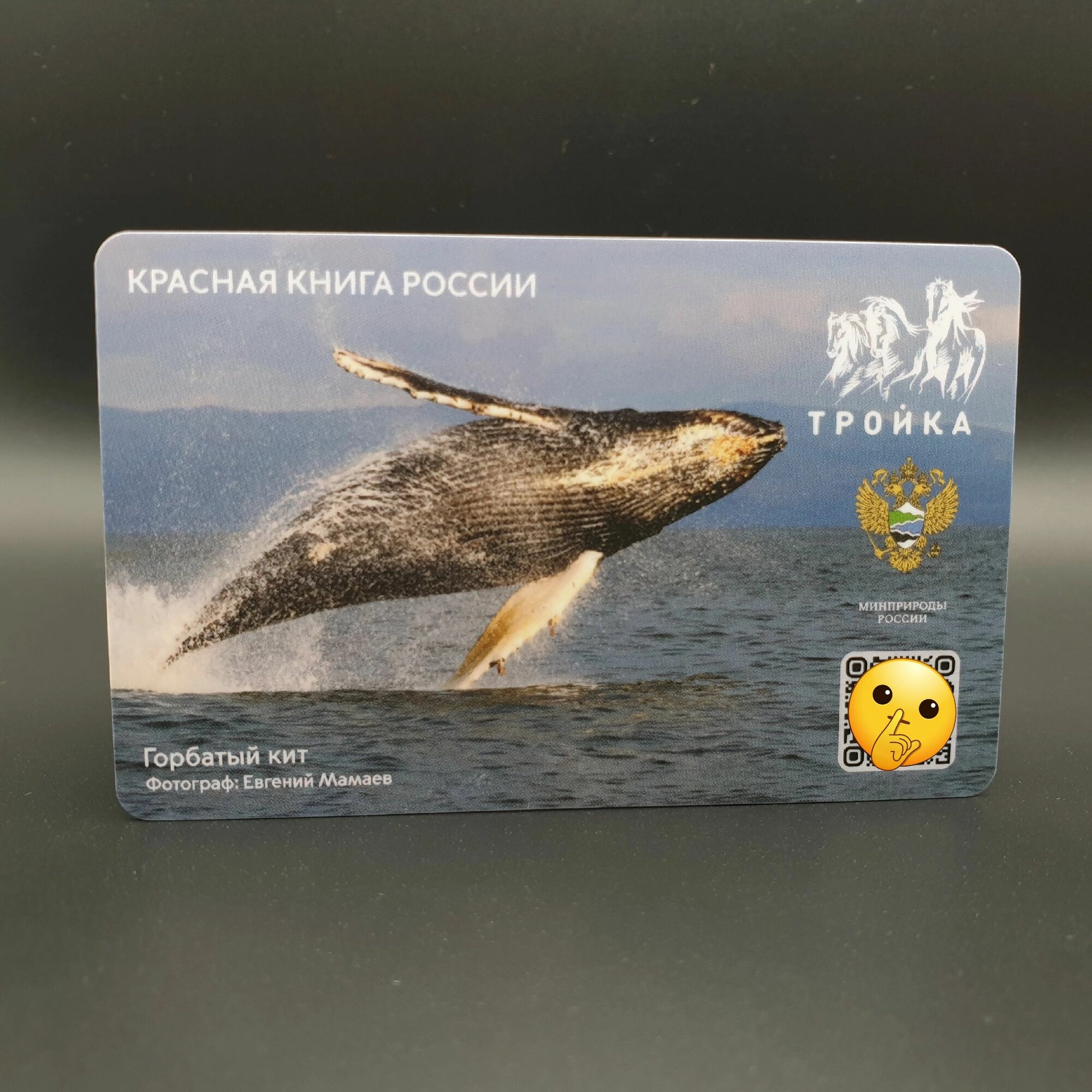 Транспортная карта метро Тройка - Горбатый кит. Красная книга России. Коллекционный проездной