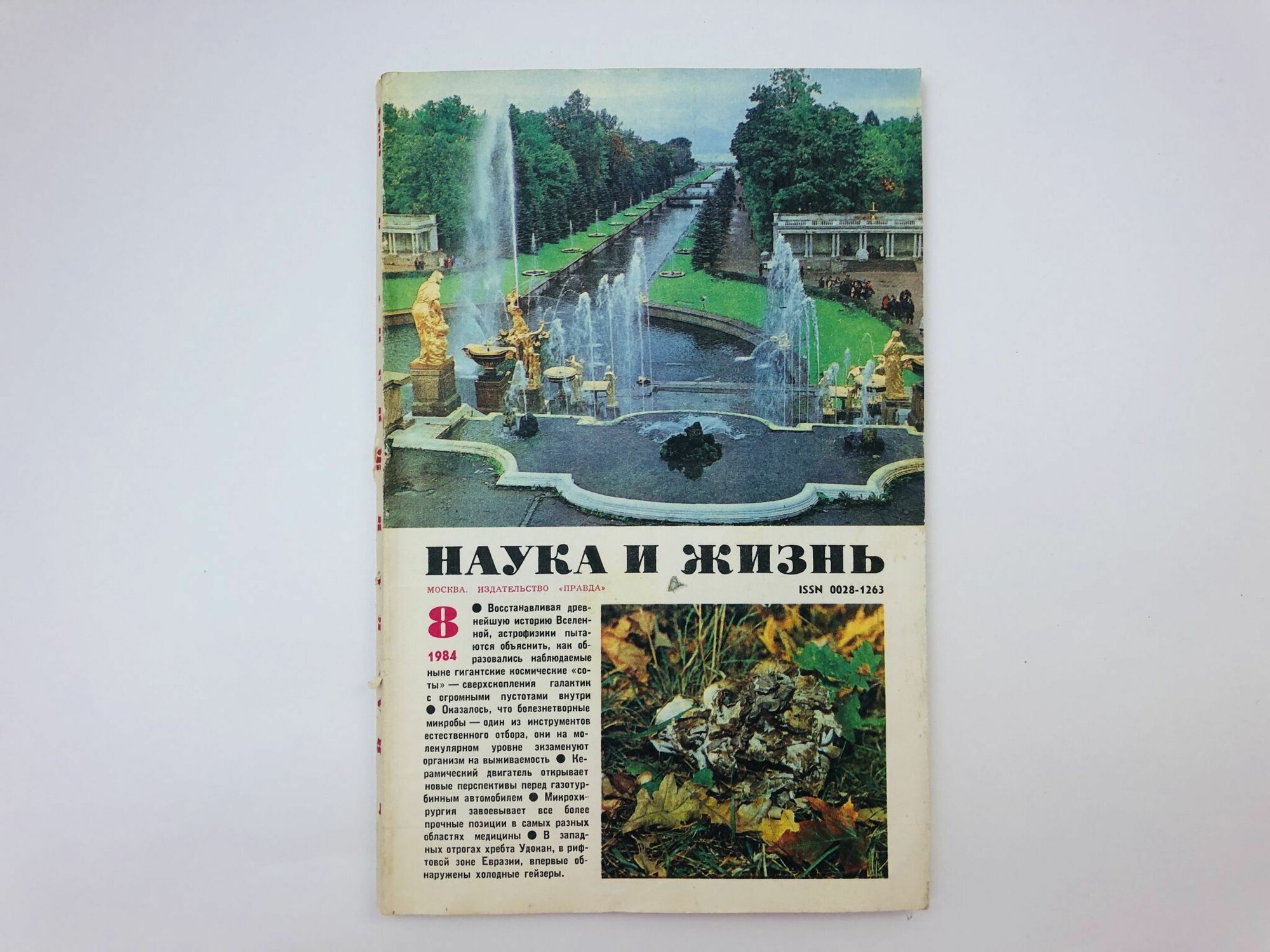 Наука и жизнь. № 8, 1984. Ежемесячный журнал