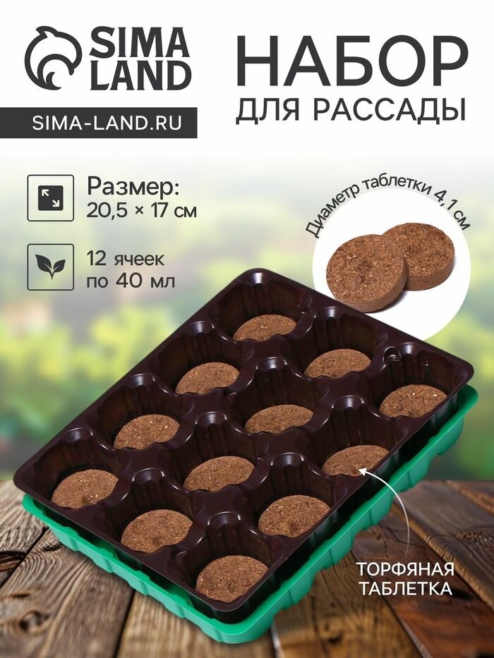 Набор для рассады Homesun, с торфяными таблетками, пластик, 12 ячеек