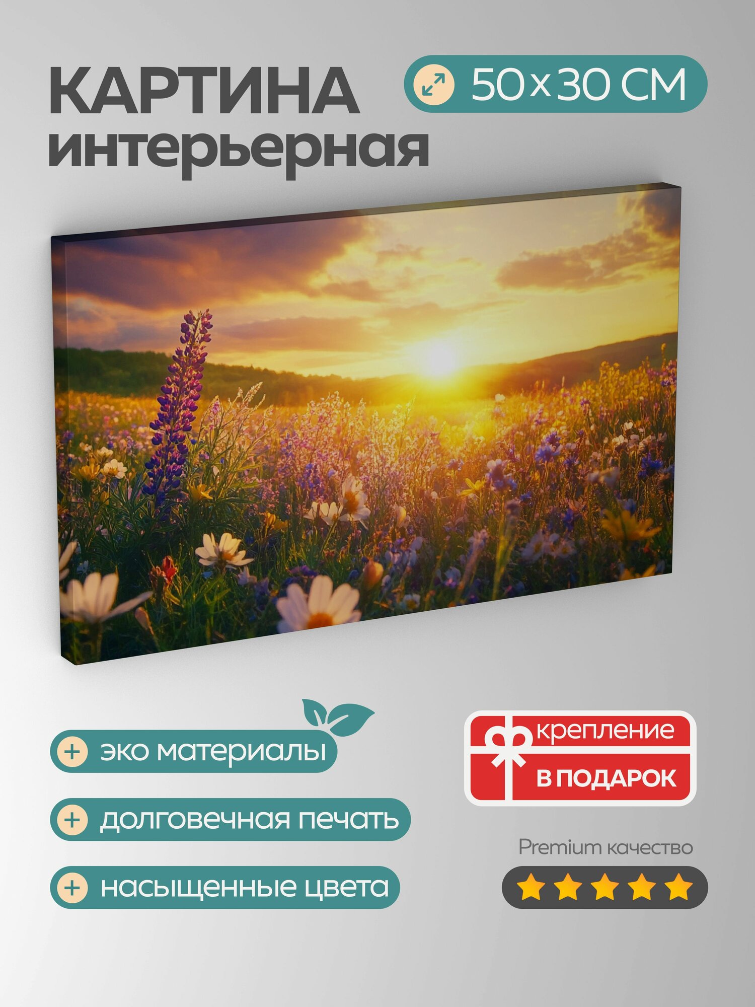 Картина на холсте интерьерная 50х30 см, закат, поле, цветы, золотистый отблеск, природа, весеннее обновление, красота
