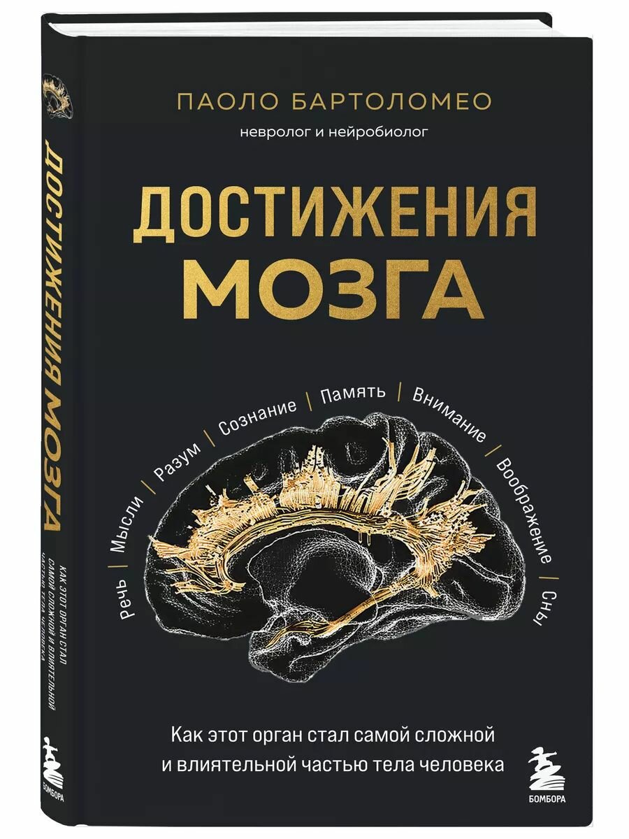 Достижения мозга. Как этот орган стал самой сложной и