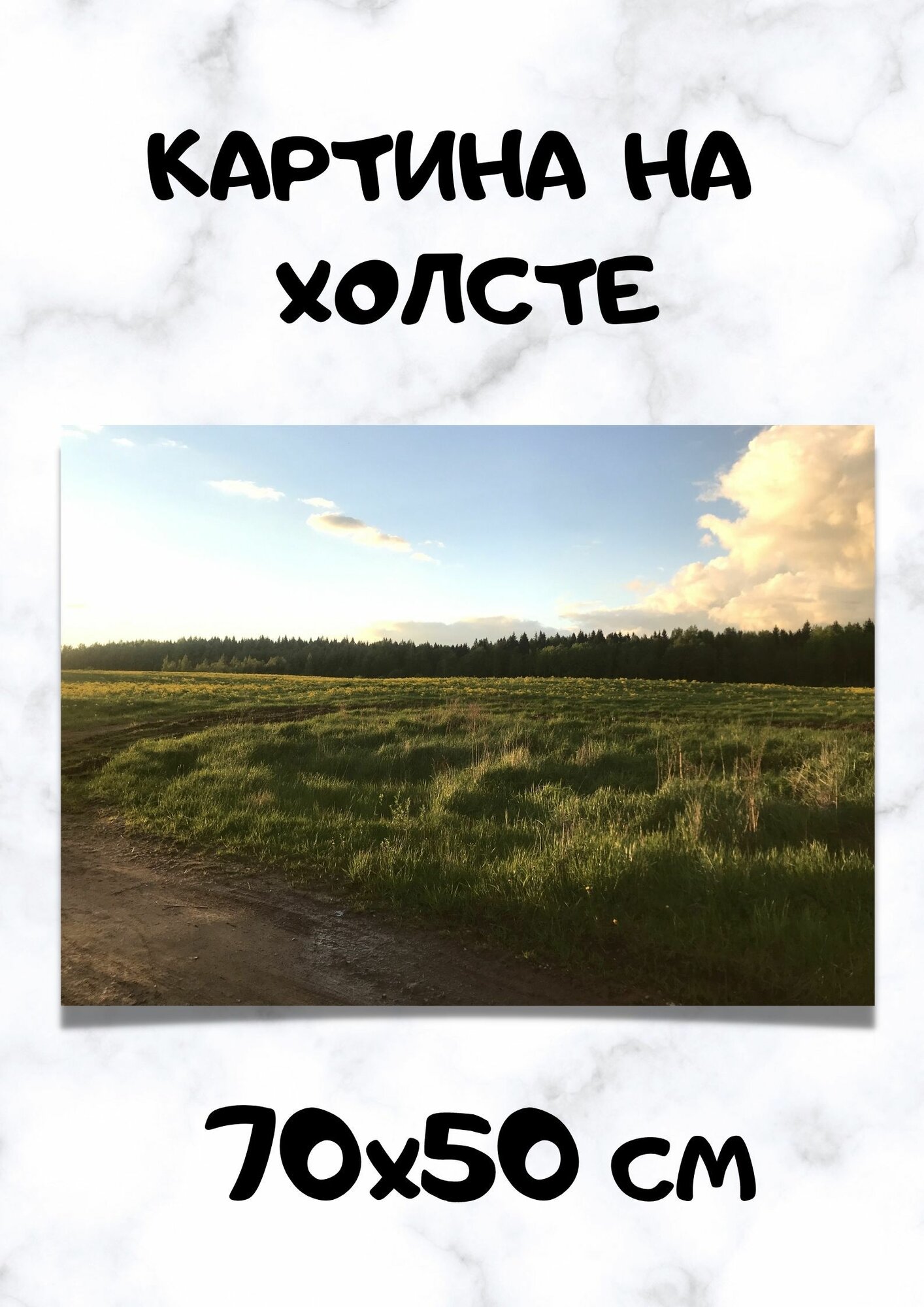 Картина с природой Архангельской области / Интерьерная картина зеленым полем