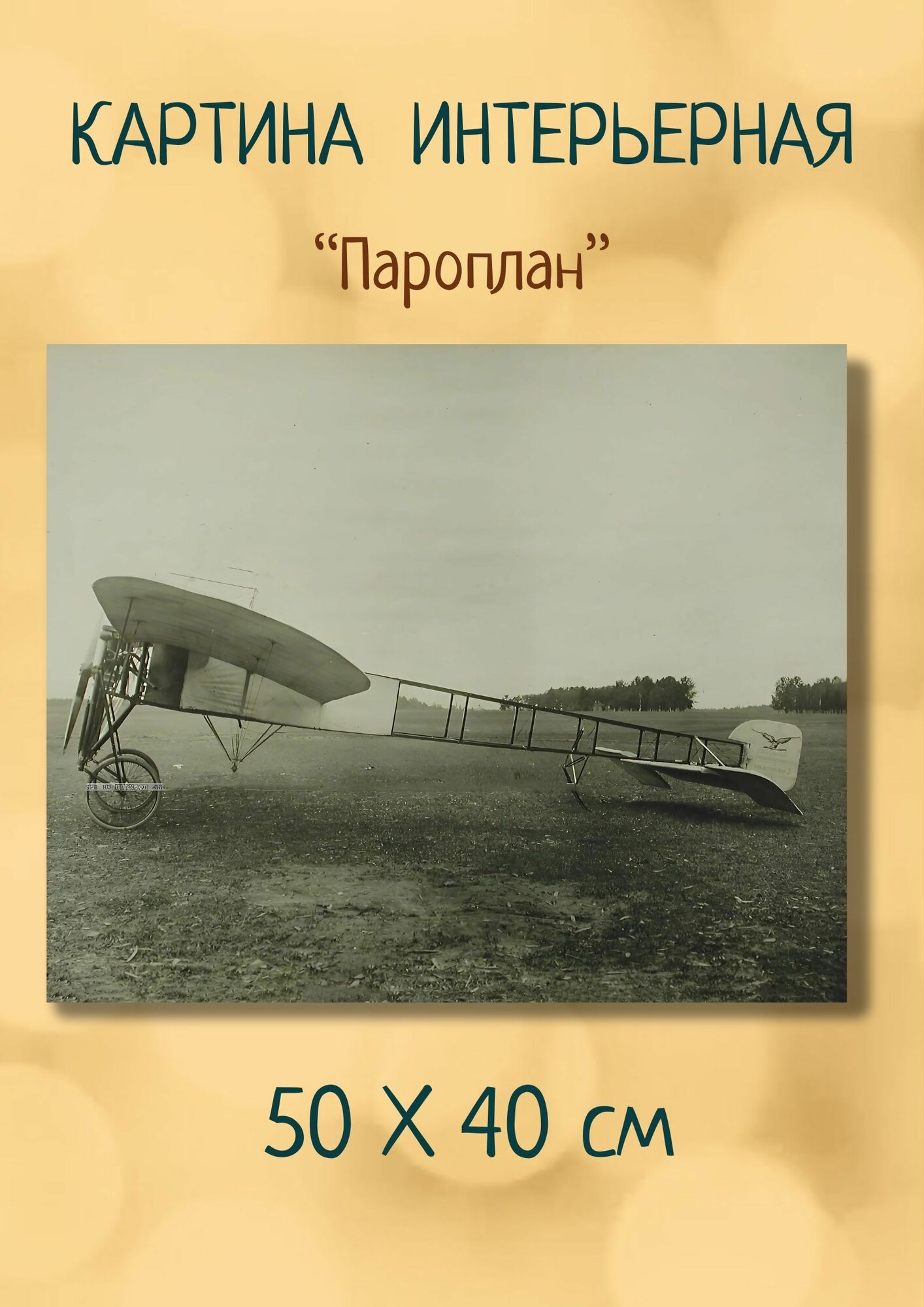 Фотокартина в черно белом стиле ретро "Общий вид моноплана сбоку" 50х40 см