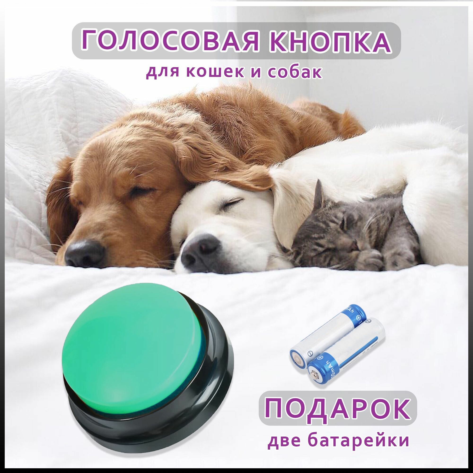 Звонок для животных