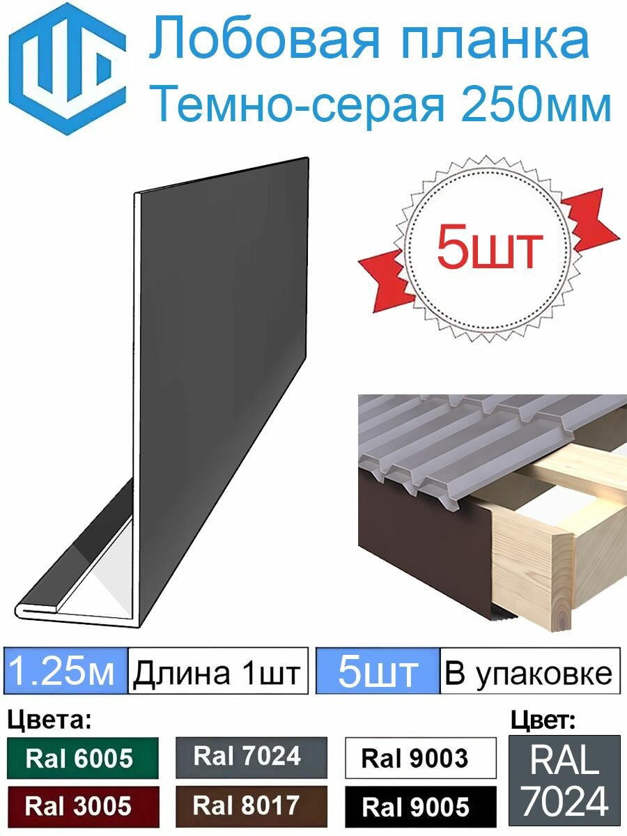 Лобовая планка кровли (250мм) Ral 7024 Графит ( 5 шт ) 1.25м