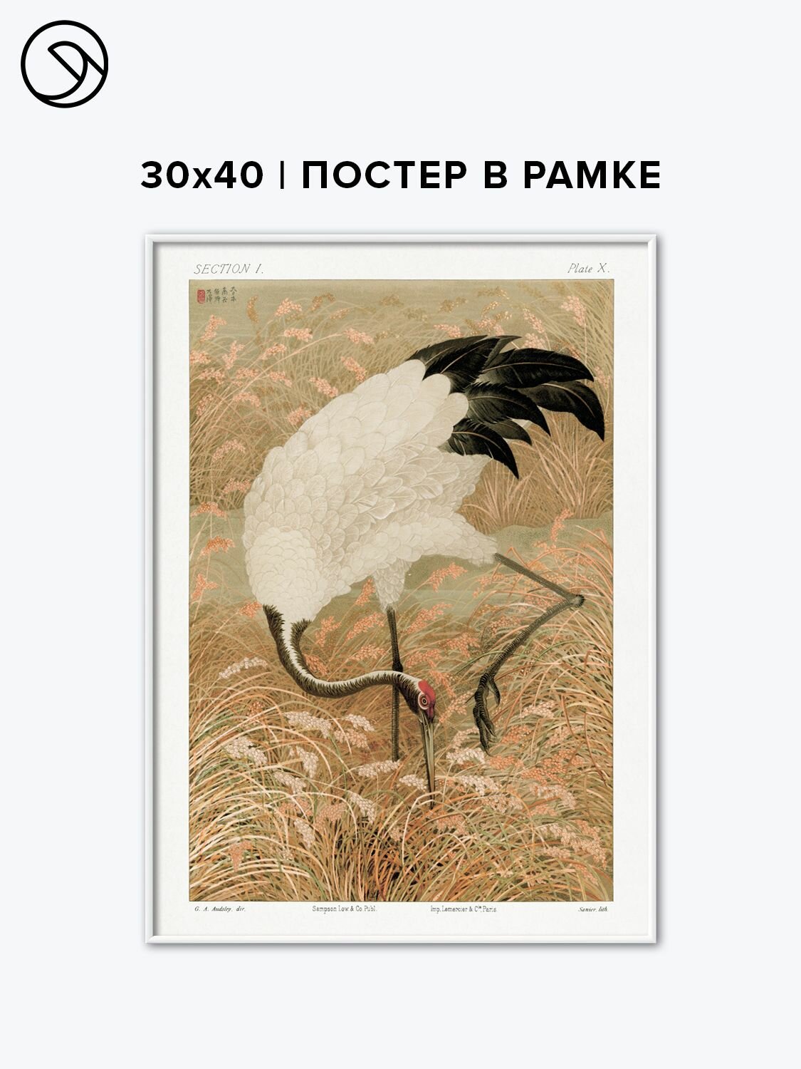 Постер 30х40 в рамке Postermarkt Журавль
