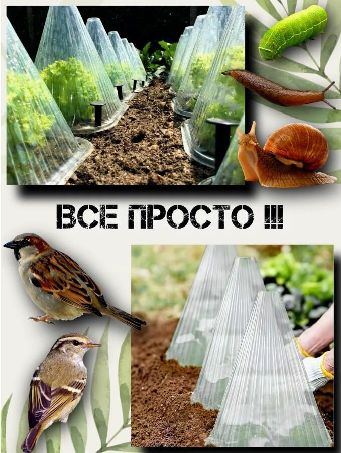 Мини-теплица для выращивания сельскохозяйственных кустарников и борьбы с сорняками, АБС-пластик, 19*19*20 см, 10 шт, прозрачный цвет