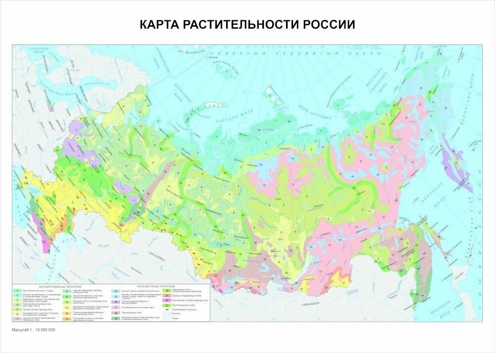 Карта растительности России 8-9 классы
