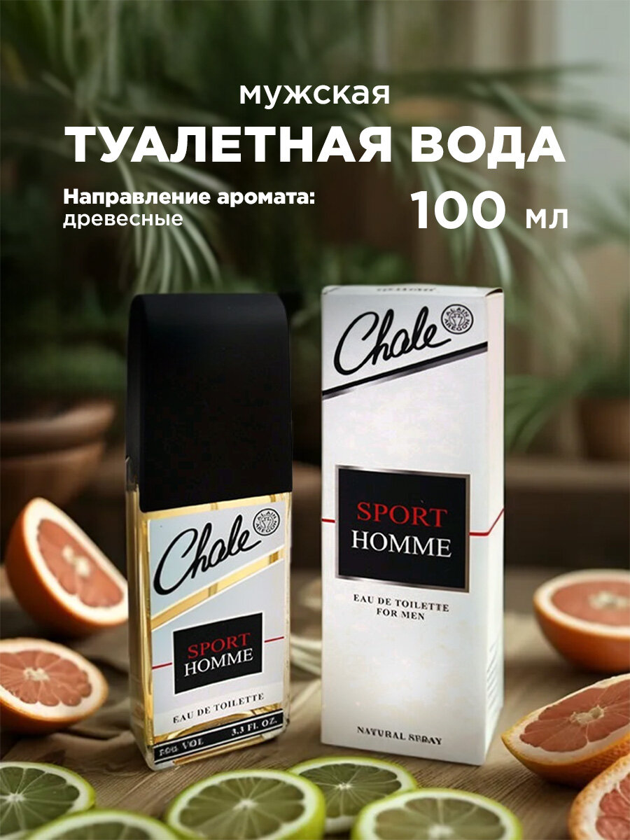 Alain Aregon Туалетная вода мужская Chale Sport Homme древесная 100мл