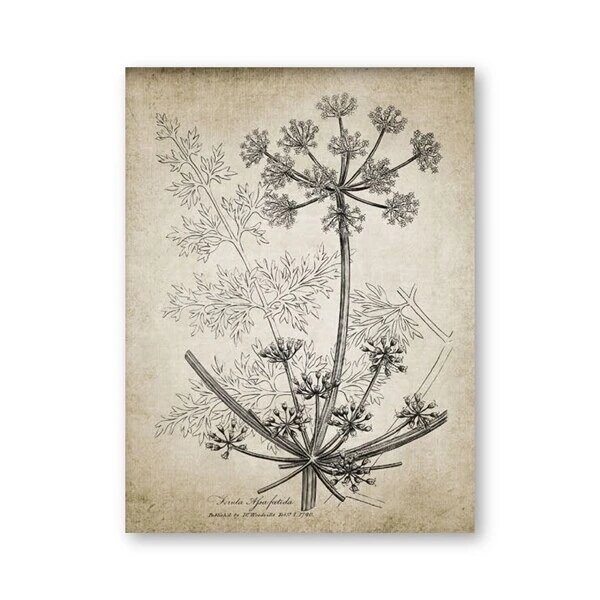 Винтажные ботанические плакаты на холсте aooins 3PH6529, A4 21x30 cm No Frame