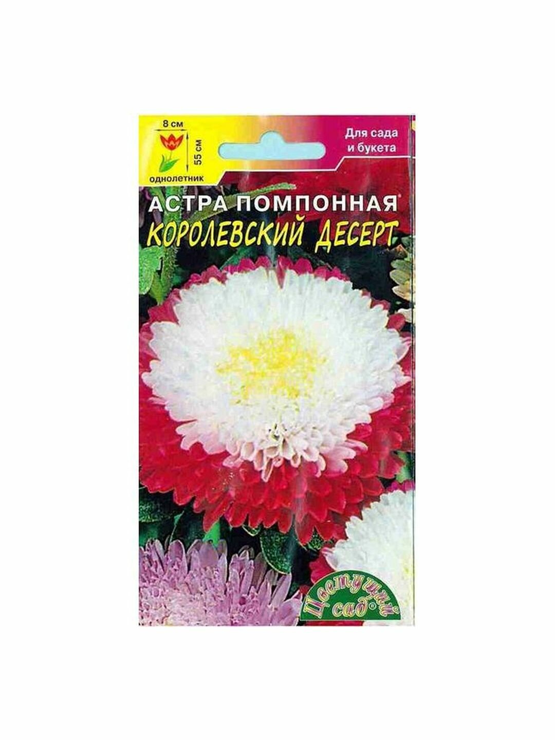 Семена Астра Десерт Королевский помпонная, однолетник, Цветущий Сад, 1 пачка - 0.2г семян