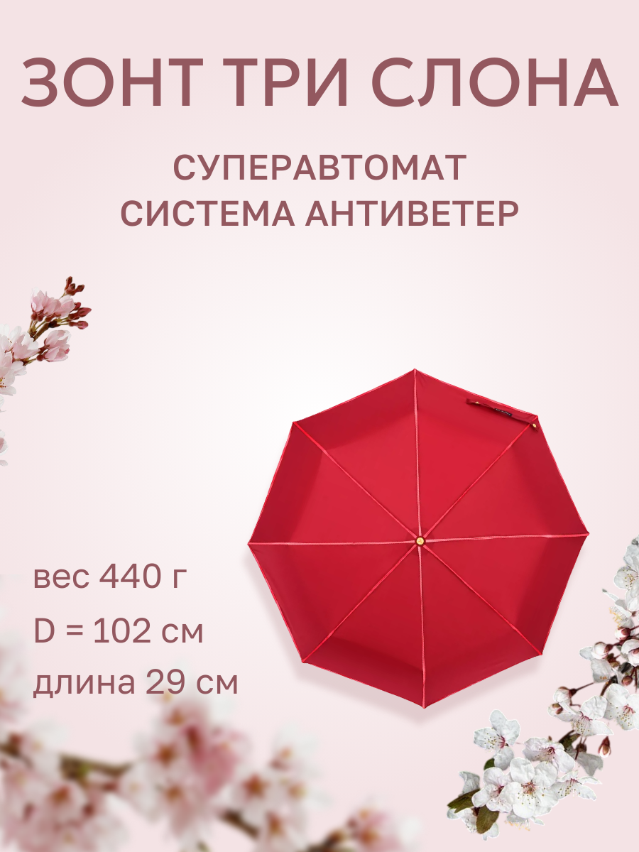 Зонты