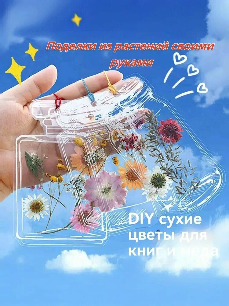 Альбом Гербарий