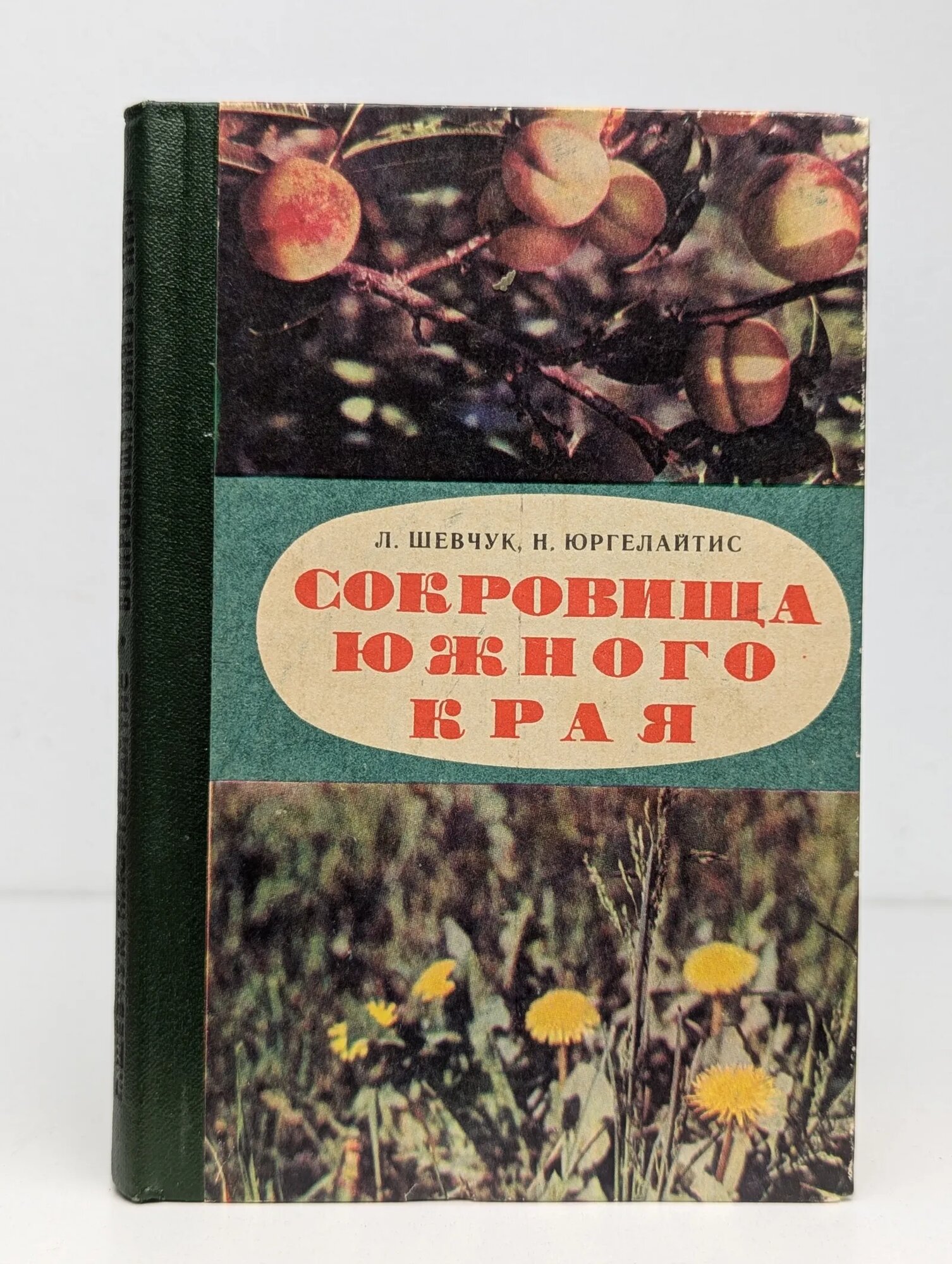 Сокровища южного края Шевчук Лариса Павловна, Юргелайтис Нина Георгиевна 1979