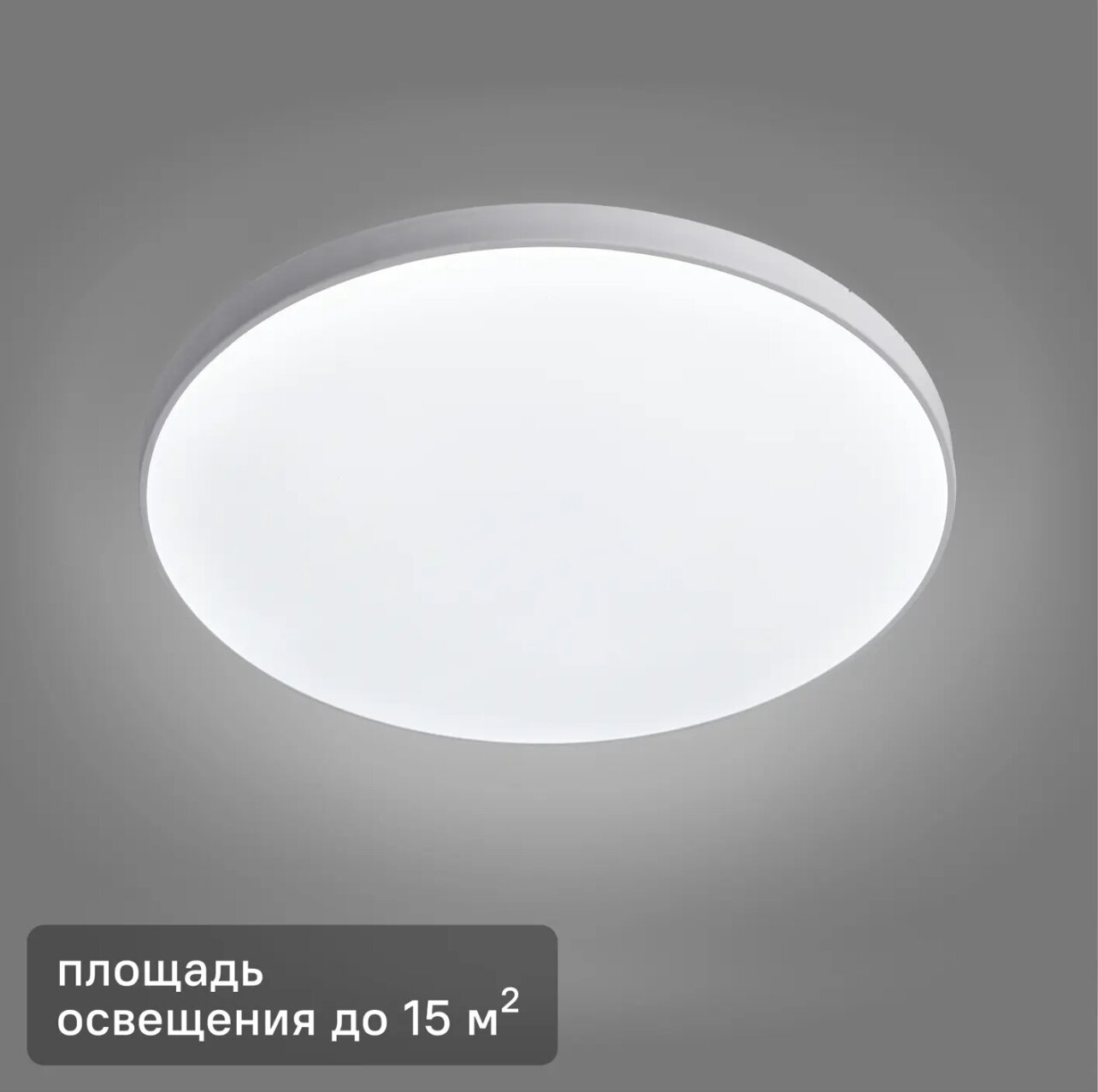 Светильник настенно-потолочный Leek, светодиодный, 24 Вт, круглый, 29,8 см