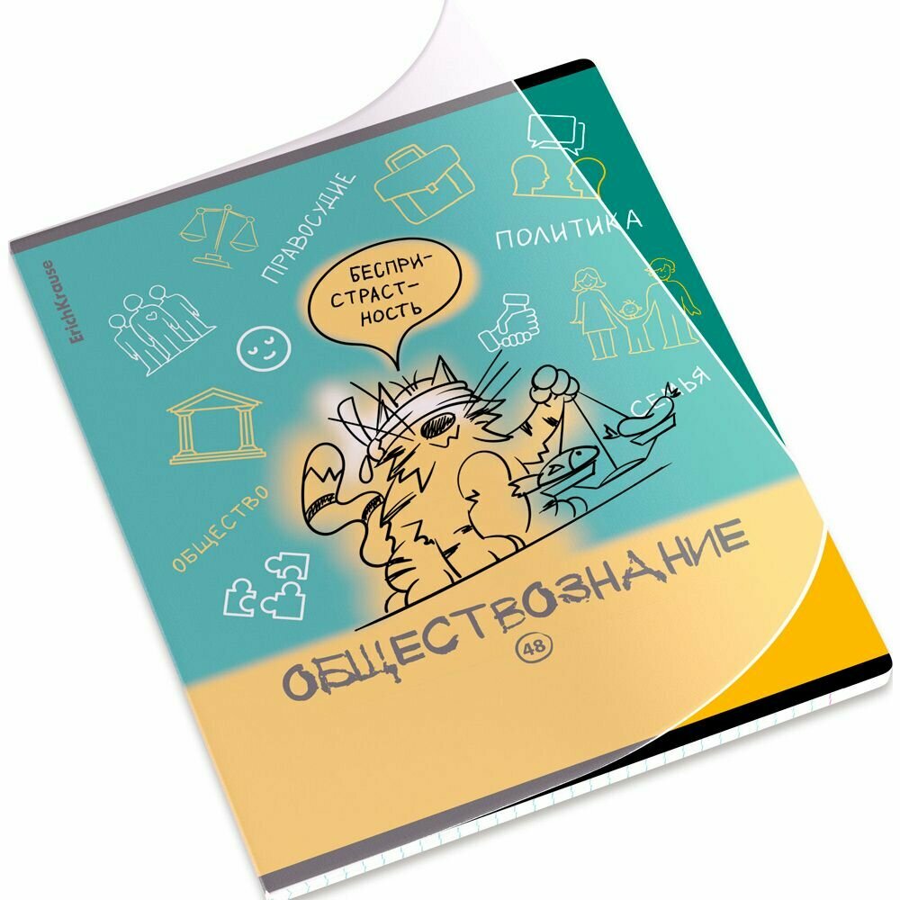Тетрадь Erich Krause 48 листов, в клетку, "Котоформулы, Обществознание"