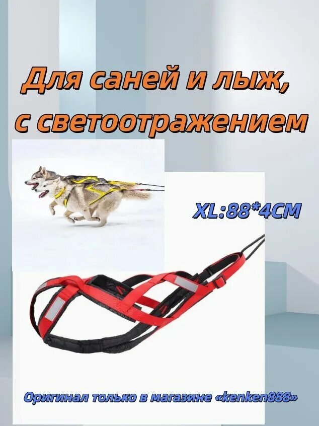 Тяговая шлейка для собак на санях для крупных пород