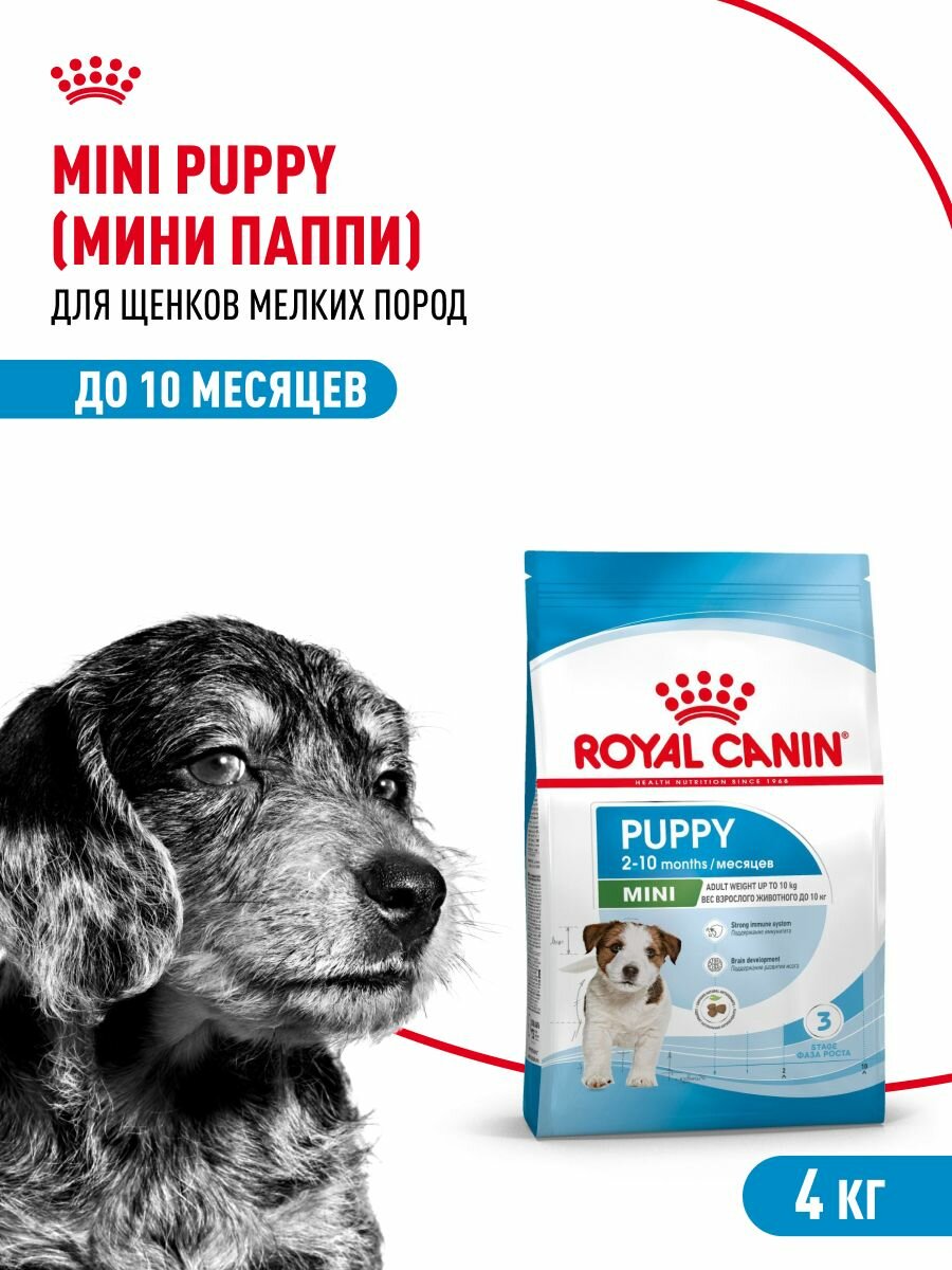 Сухой корм для щенков Royal Canin Mini Puppy для мелких пород, 4 кг
